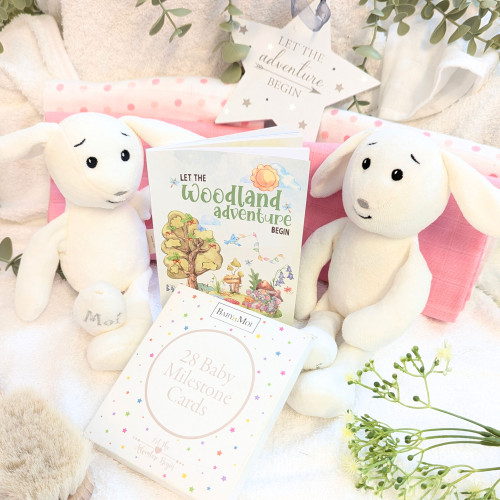 Let The Adventure Begin Twin Girls Gift Box - Nappy Cake Shop