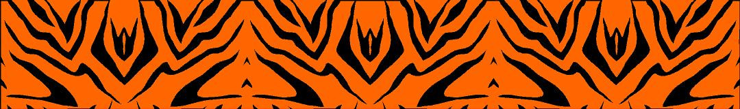Arrow Wraps-zebra - Onestringer