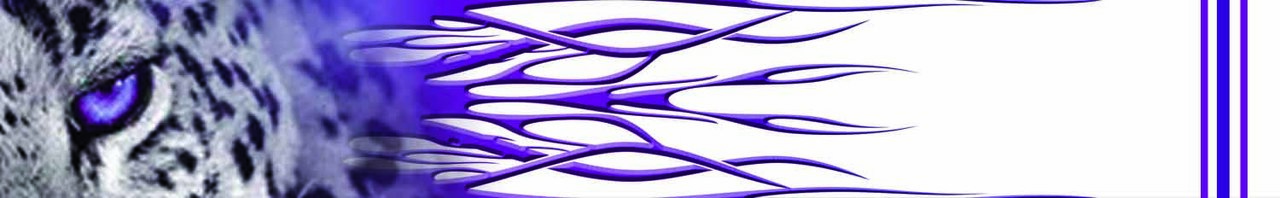 Arrow Wraps-Larry Hostetler-2 - Onestringer