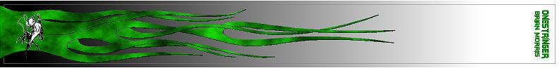 Arrow Wraps-brian morris-2017-1-GREEN - Onestringer
