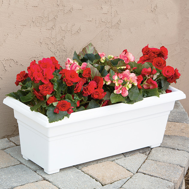 Patio Planter Pots | Root & Vessel