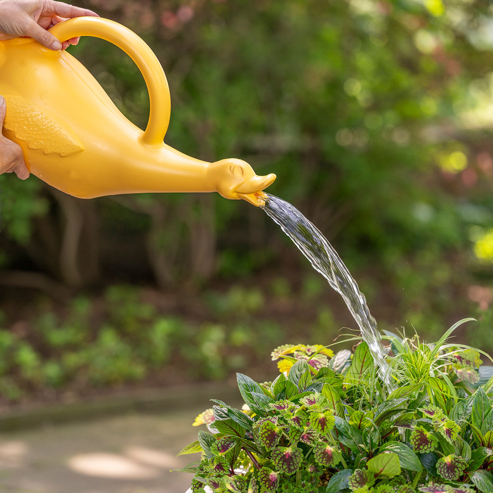 Yellow Duck Watering Can | Fun Watering Cans | Root & Vessel