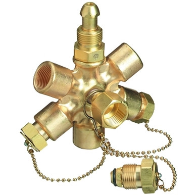 Western Enterprises Manifold Block Assembly, 3,000 psig, CGA-540 Female ...