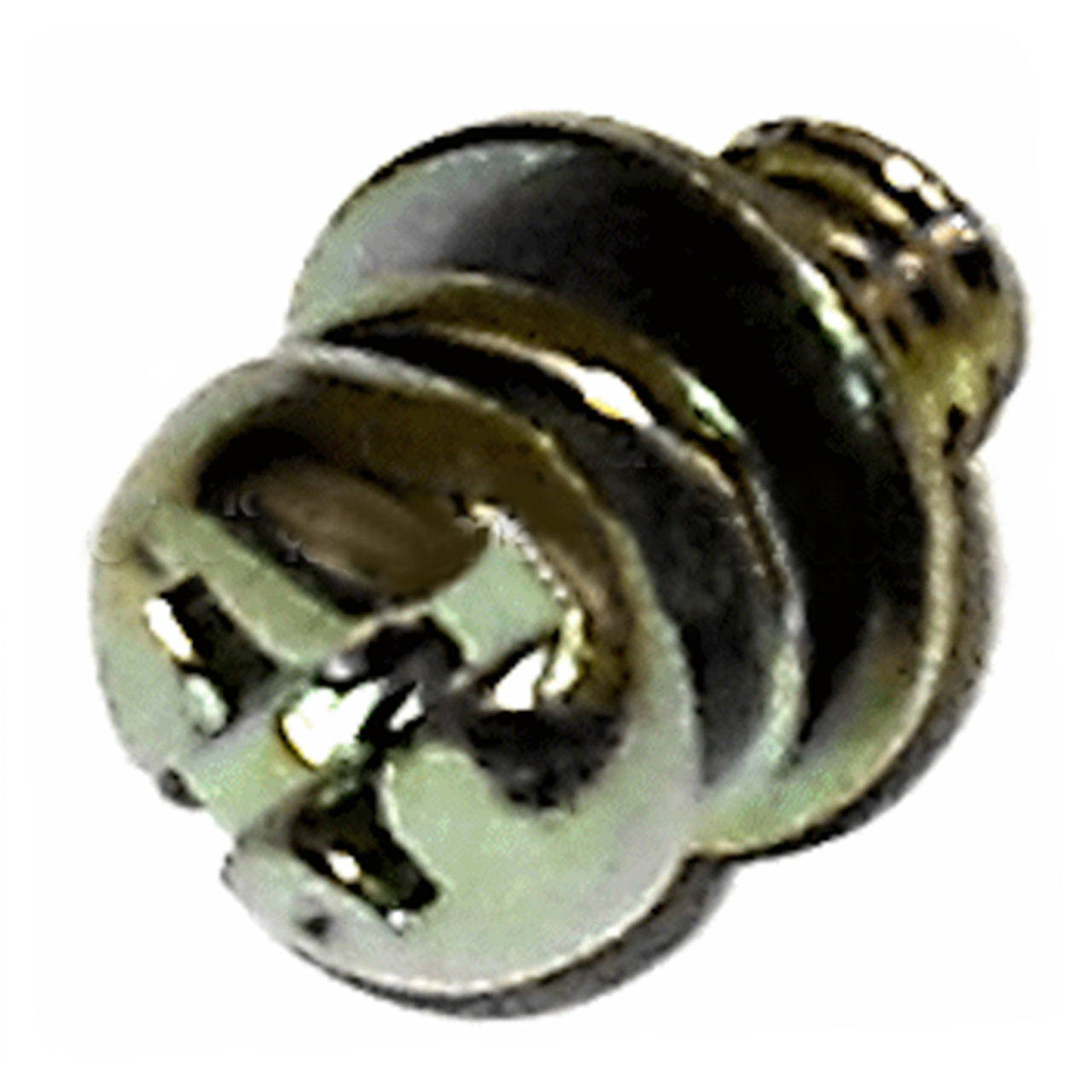 Echo 4x8 Screw 90024204008 OEM | Chainsaw Parts