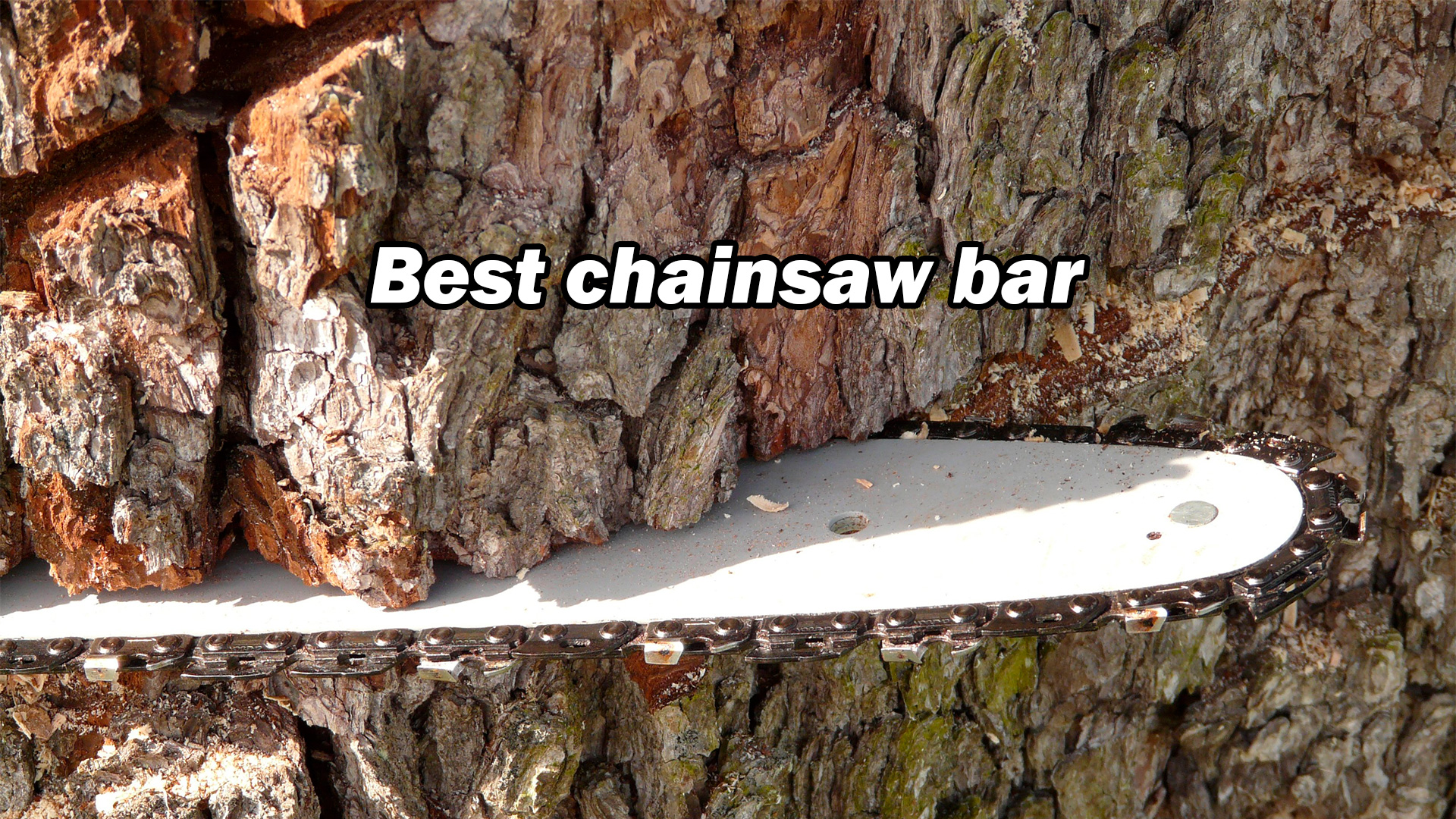 How to Choose The Best Chainsaw Bar - CHAINSAW PARTS