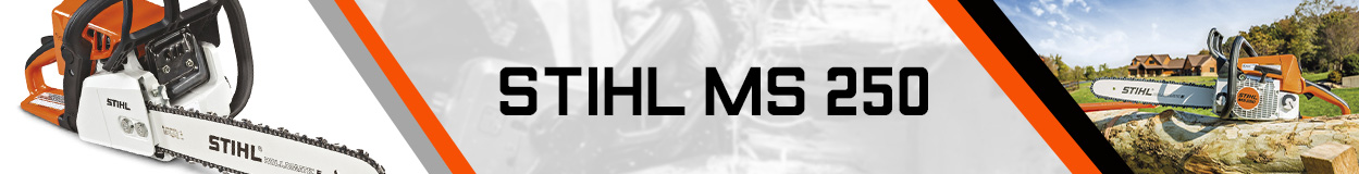 Stihl MS-250 Chainsaw Rebuild Kits | Chainsaw.Parts
