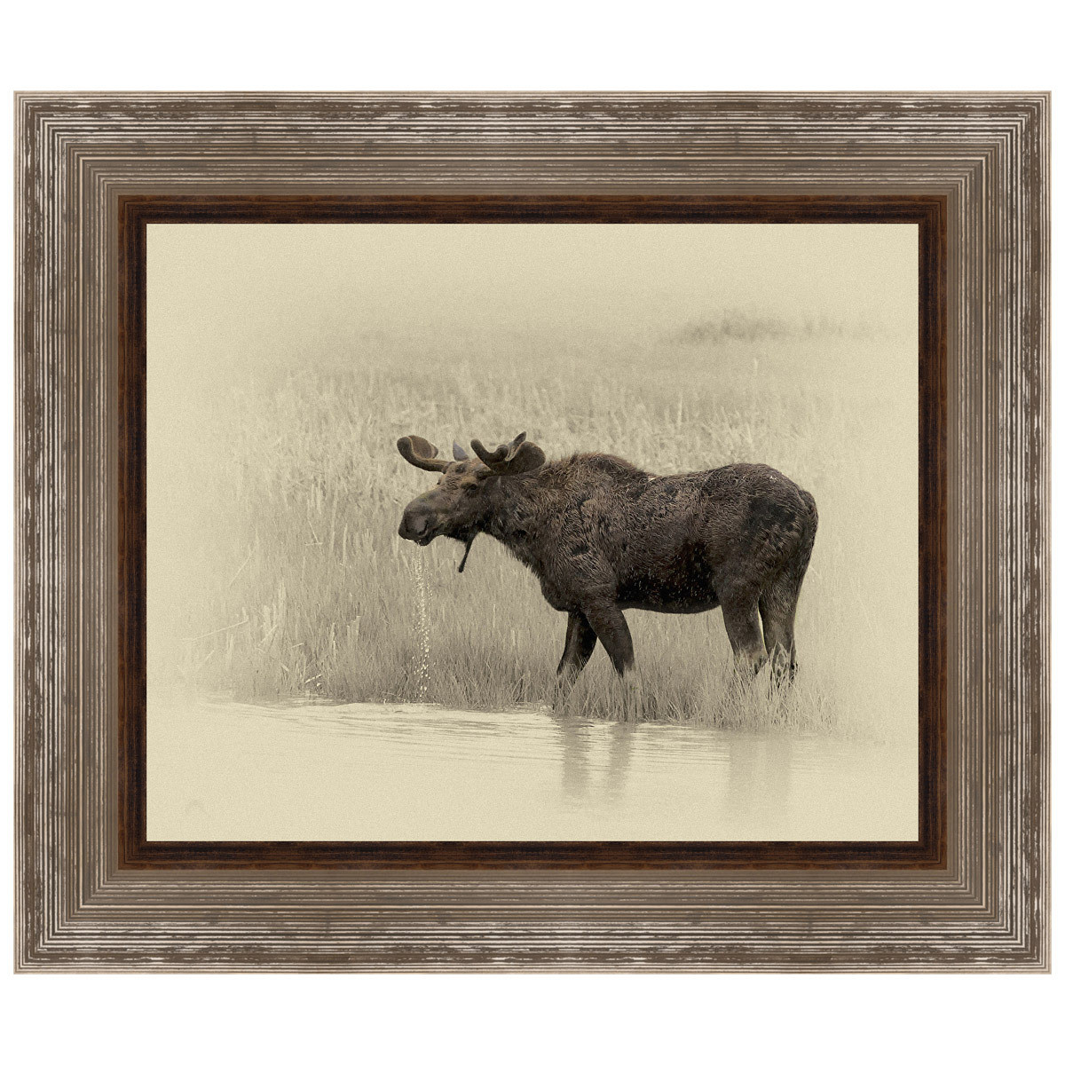 Moose Framed Canvas | Black Forest Decor