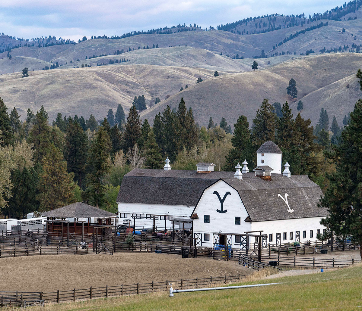 Yellowstone Dutton Bed - New Wood | Black Forest Decor