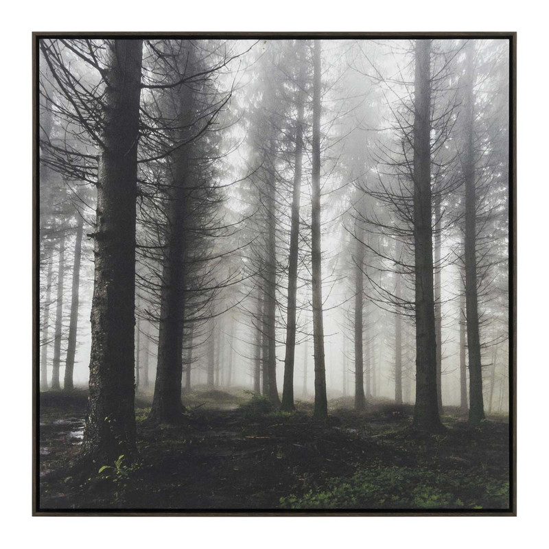 Misty Forest Framed Wall Art | Black Forest Decor