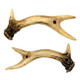 Rustic Hardware: Set of 2 Antler Knobs | Black Forest Decor