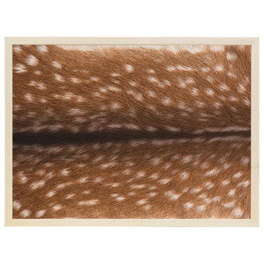 Chital Deer Hide Wall Art | Black Forest Decor