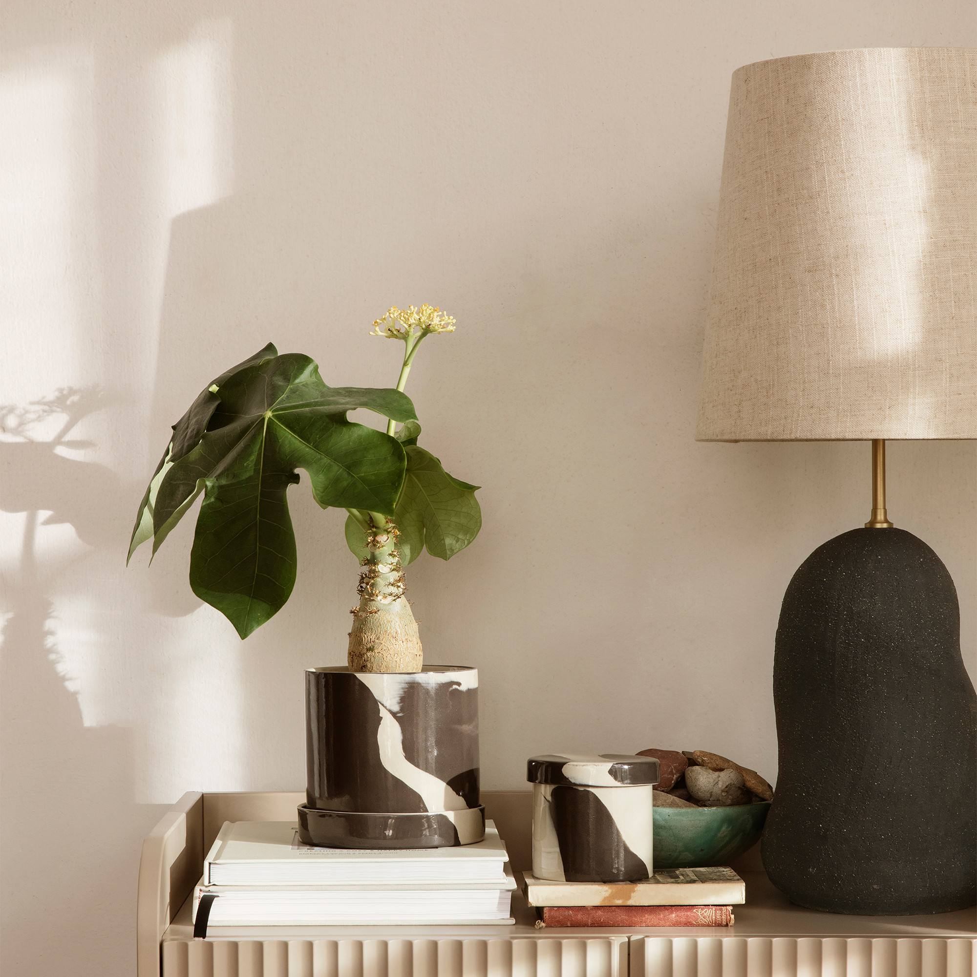 Viggo Glass Container by LOUISE ROE - Elegant & Versatile Storage ...
