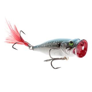 Mach Baits Sprayin' Shad 2-3/8" Finesse Popper