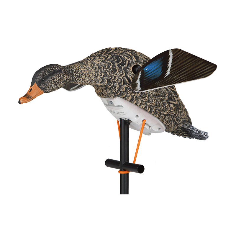 Lucky Duck Lucky HD Hen Spinning Wing Decoy