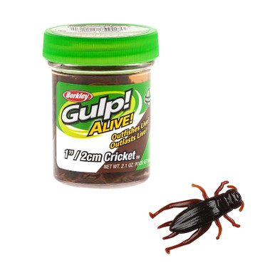 Berkley Gulp! Alive! 1" Cricket Jar
