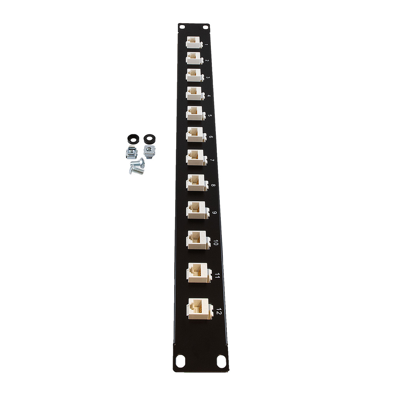 NavePoint 1U (1.75") 19 Inch Panel with 12 Cat5e Mini-Couplers