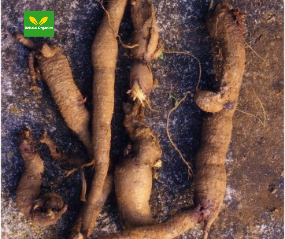 Bangalala: The Natural Way to Enhance Vitality and Wellness - Behalal ...