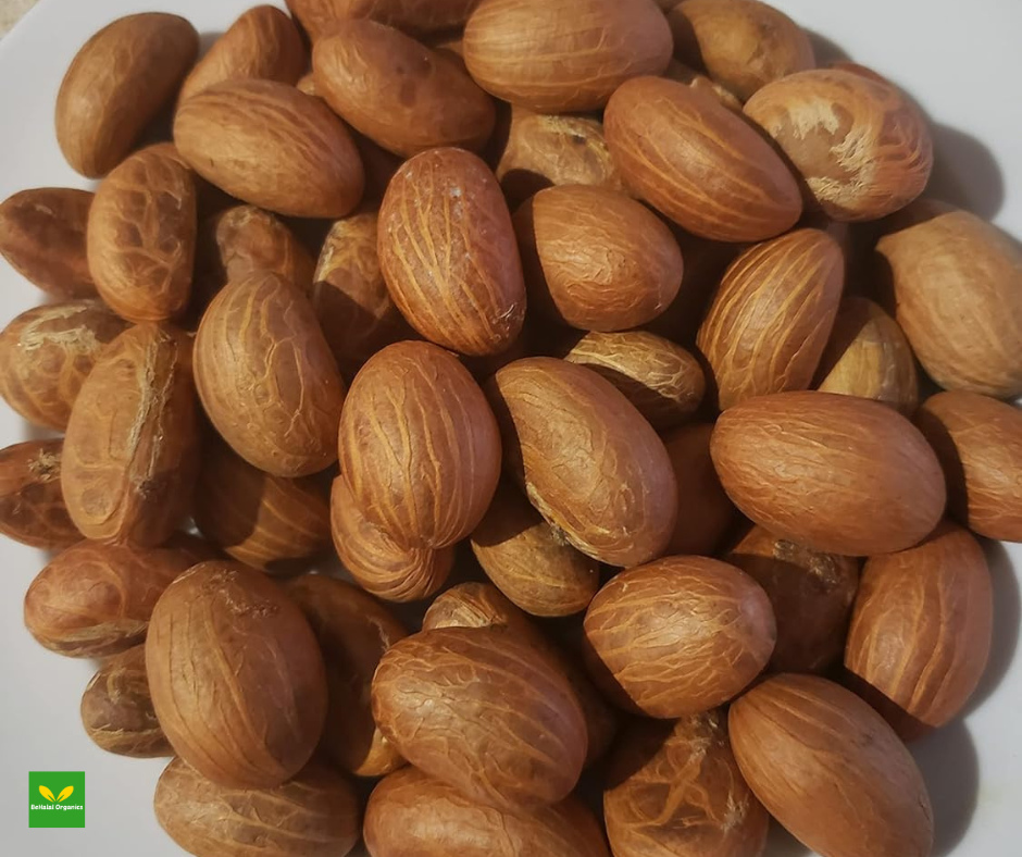 Exploring Bitter Kola's Health Benefits - Behalal Organics