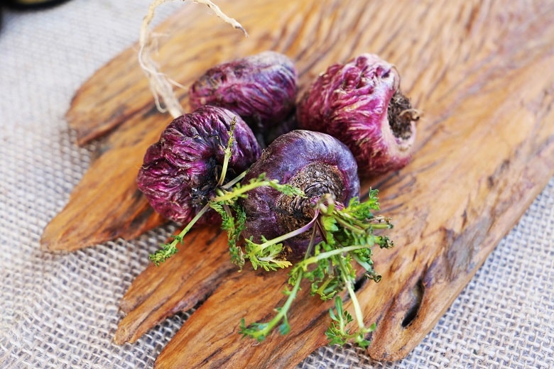 Revitalize Your Life: Unveiling Red Maca Root's Unique Health Wonders ...