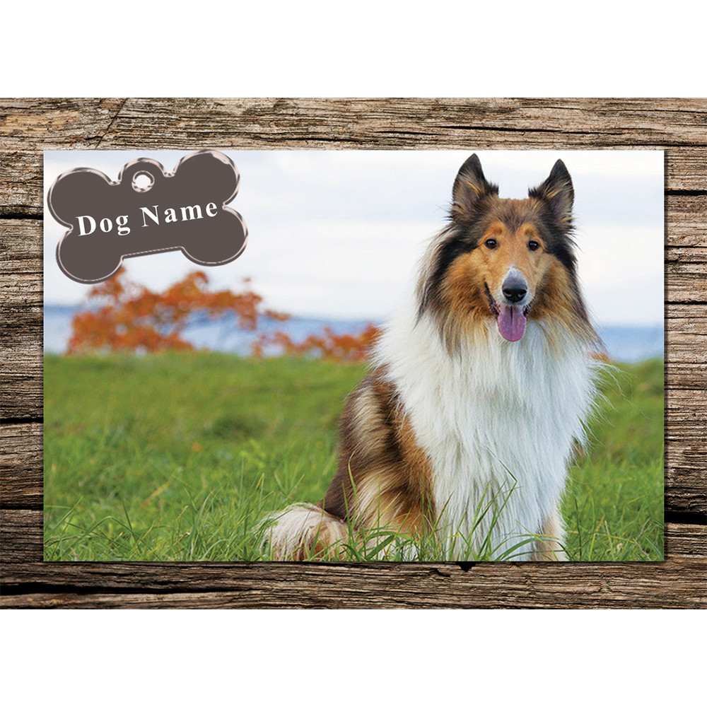 Custom Dog Trading Cards #11 - That's A Buy
