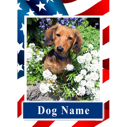 Custom Dog Trading Cards #8 - That's A Buy