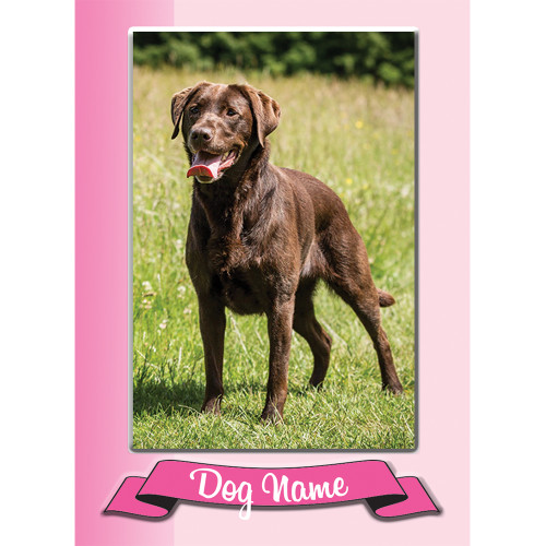 Custom Dog Trading Cards #10 - That's A Buy