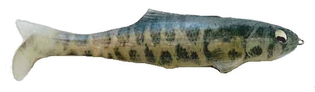 Signal DEVIL SWIMMER 6 #13 Live Snake Head NEW - KKJAPANLURE