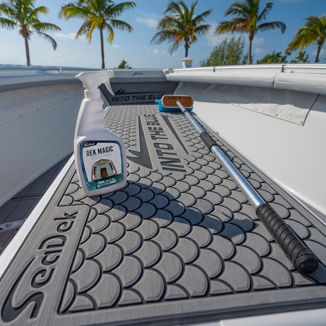 RV Cleaners