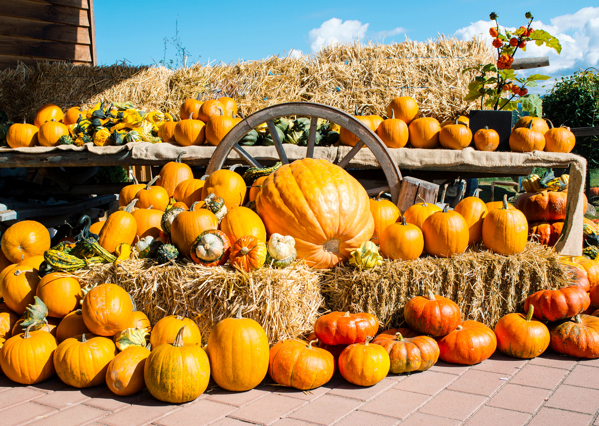 Fun Fall Activities Made Better in Your RV - Part II - RecPro