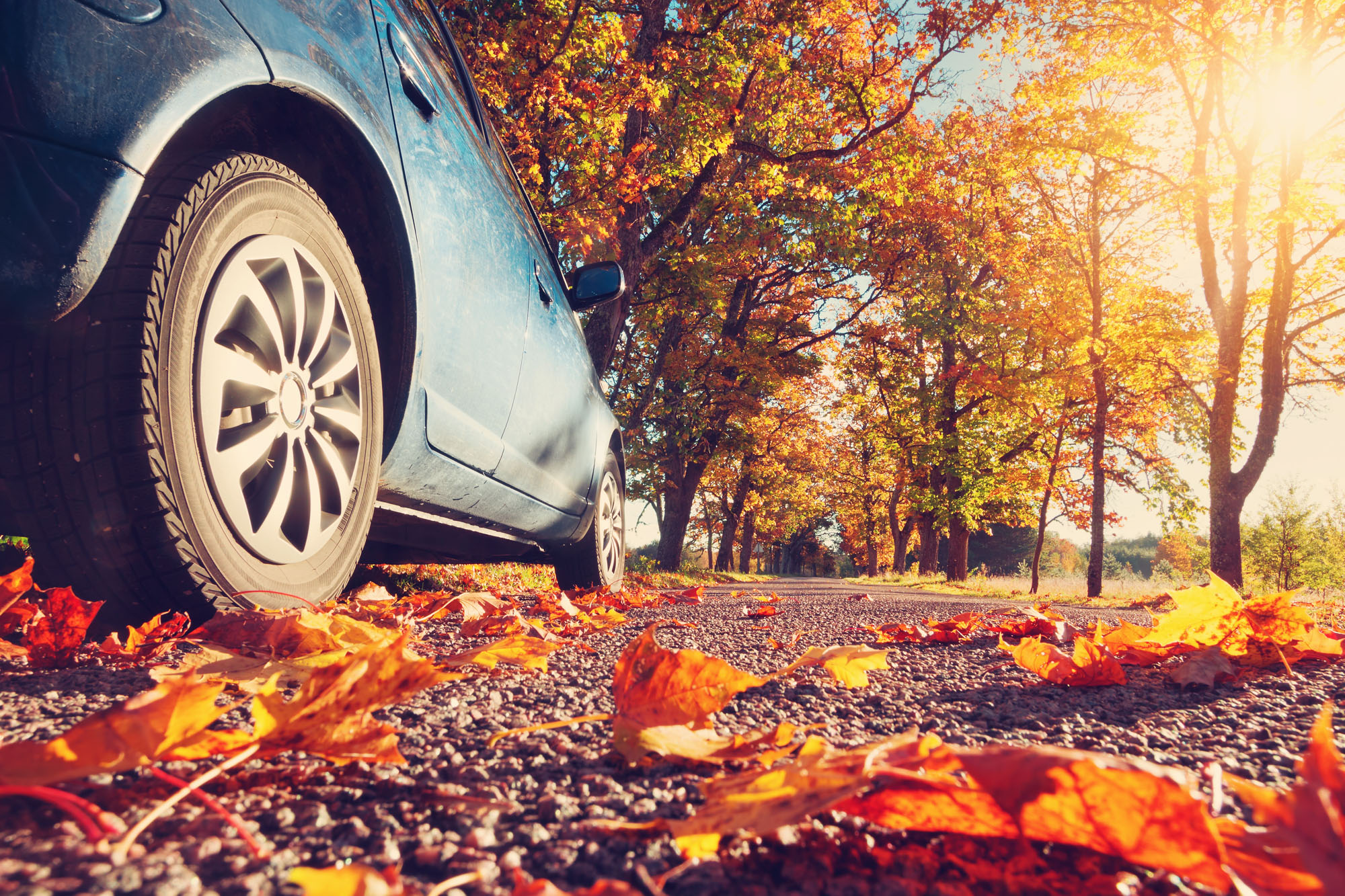 Planning a Fall Road Trip? Head to a National Park - RecPro