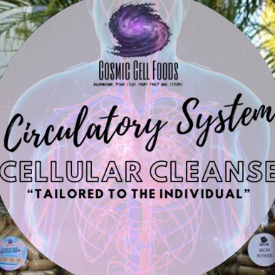 Circulatory System Cellular Therapy Cleanse - CCell Solutions Academy