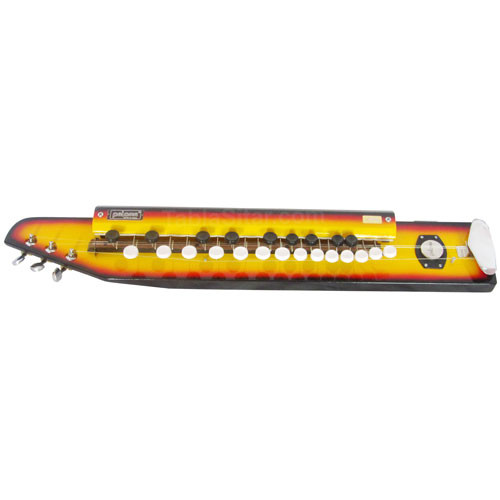 Shop - Indian Musical Instruments - Indian Strings - Paloma Bulbul ...