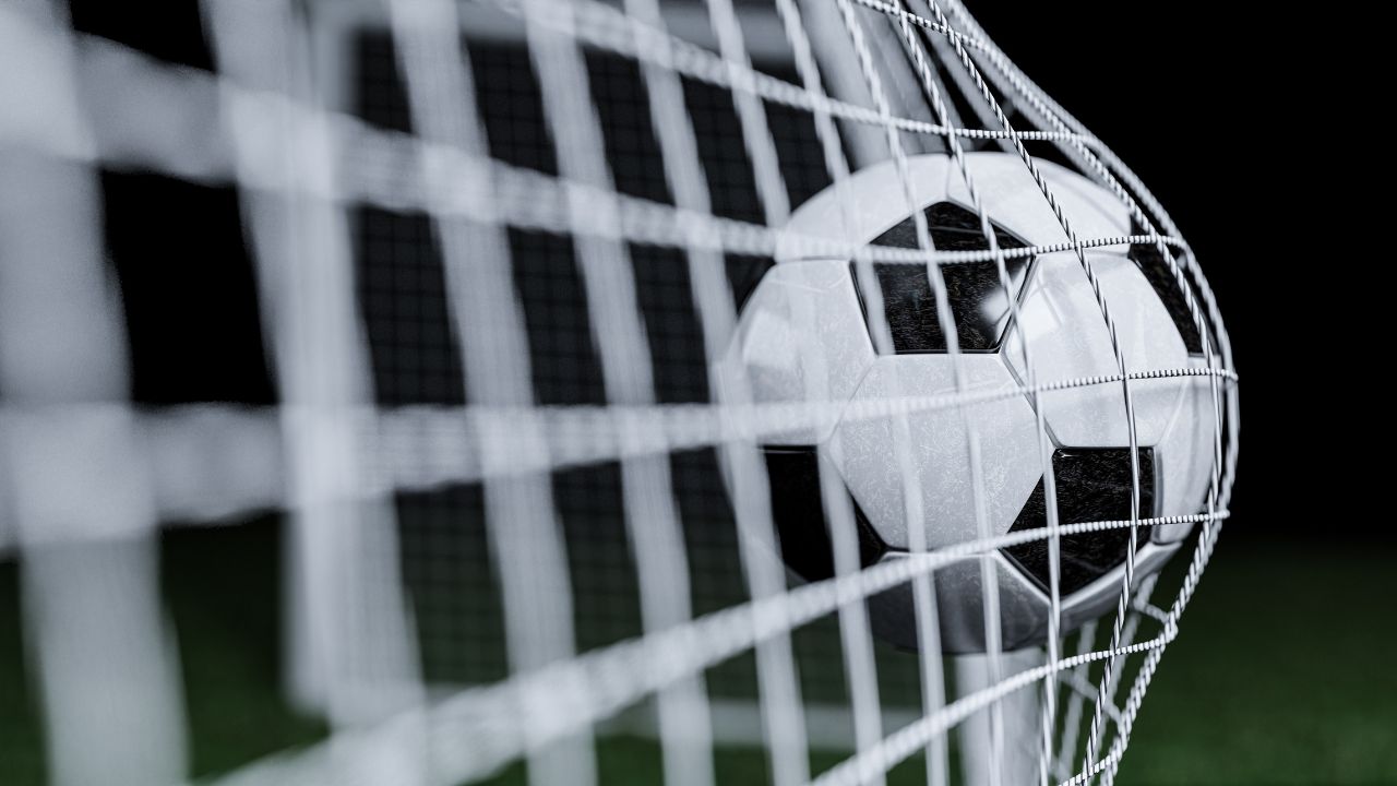 Soccer Goal Net Buying Guide: Materials, Sizes & Lifespan - Buffalo Sports