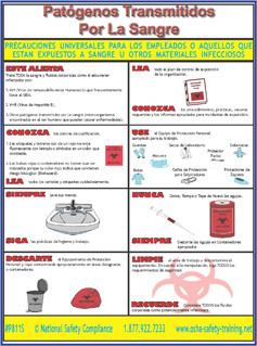 BBP Information Poster - 18X24 - YourSafetySupplies.com