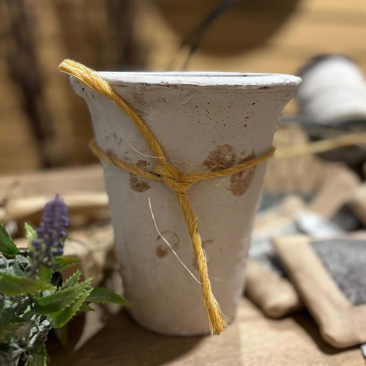 Distressed Cement Pot - White & Terracotta - Black Swan Home