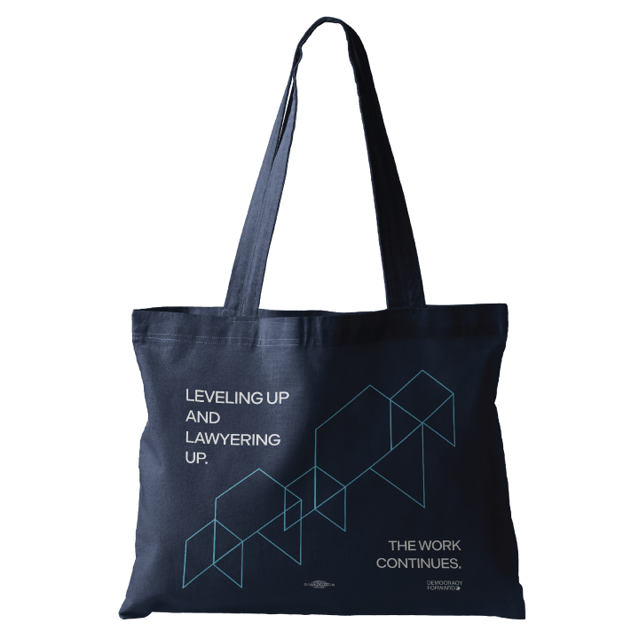 Leveling Up (Navy Canvas Tote) - Democracy Forward Webstore