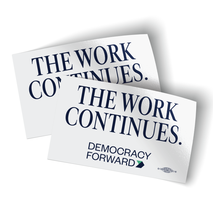 The Work Continues (5" x 3" Vinyl Sticker -- Pack of Two!) - Democracy ...