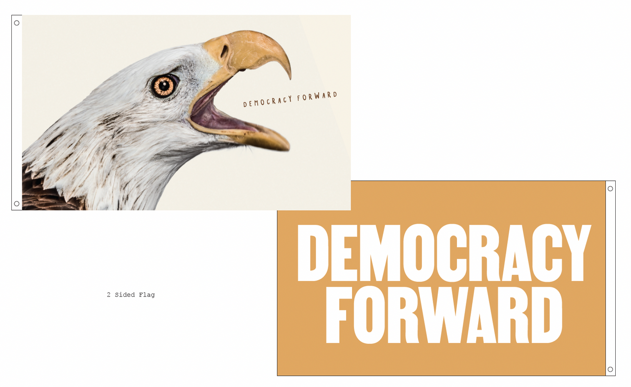 Limited-Edition Democracy Forward/BS Records 5' x 3' Flag - Democracy ...