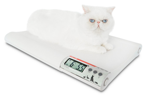 DETECTO Veterinary Scale, Digital, 75 lb × 0.02 lb / 35 kg × 0.01 kg ...