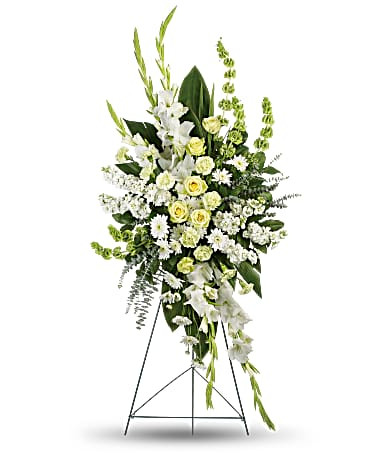 Magnificent Life Spray