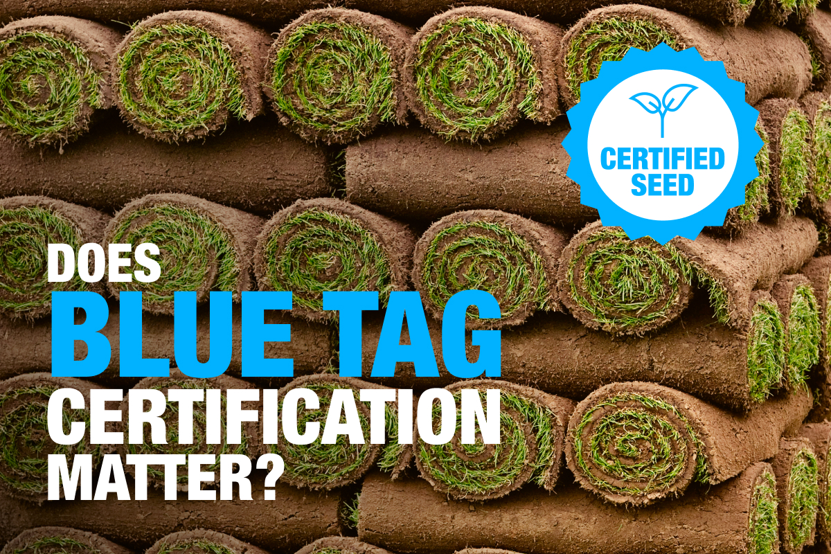Does Blue Tag Certification Matter? - SodStar