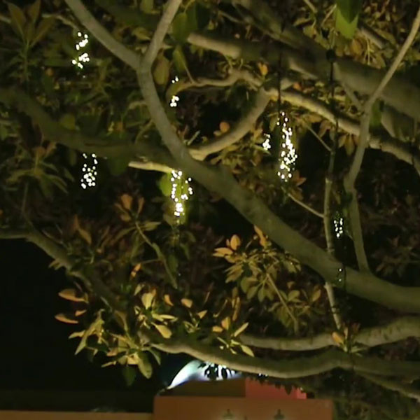 Low Voltage LED Snowfall String Light Kit | AQLighting