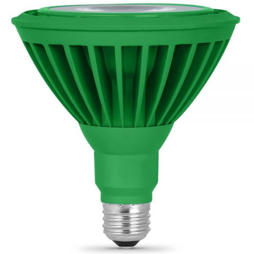 Green LED Reflector PAR38 Light Bulb | AQLighting