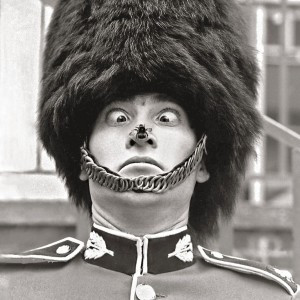 Photographic Greeting Cards | The Wonky Tree