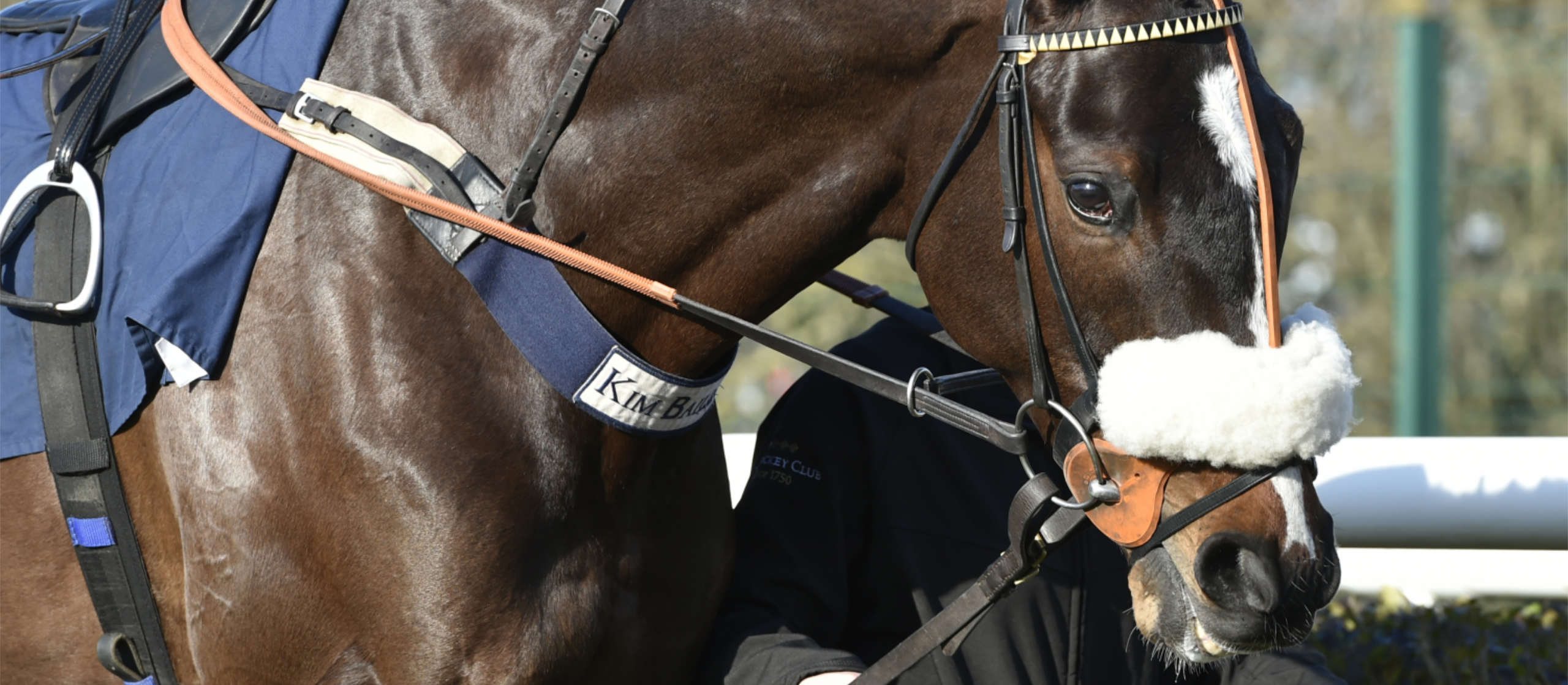 Kim Bailey Racing - The Wonky Tree