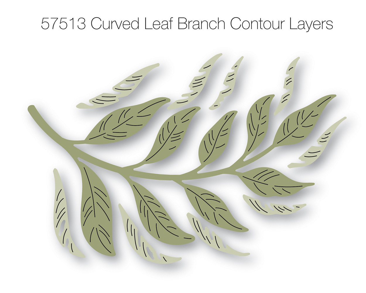 Memory Box Birch Press Designs Dies - Curved Leaf Branch Contour Layers ...