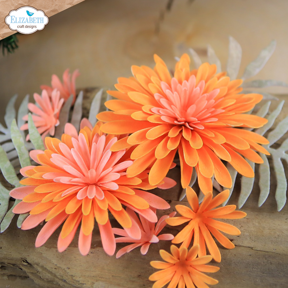 Elizabeth Craft Designs Paper Flowers Dies - Florals 32 - Scrapbooking ...