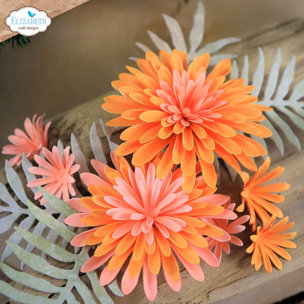 Elizabeth Craft Designs Paper Flowers Dies - Florals 32 - Scrapbooking ...