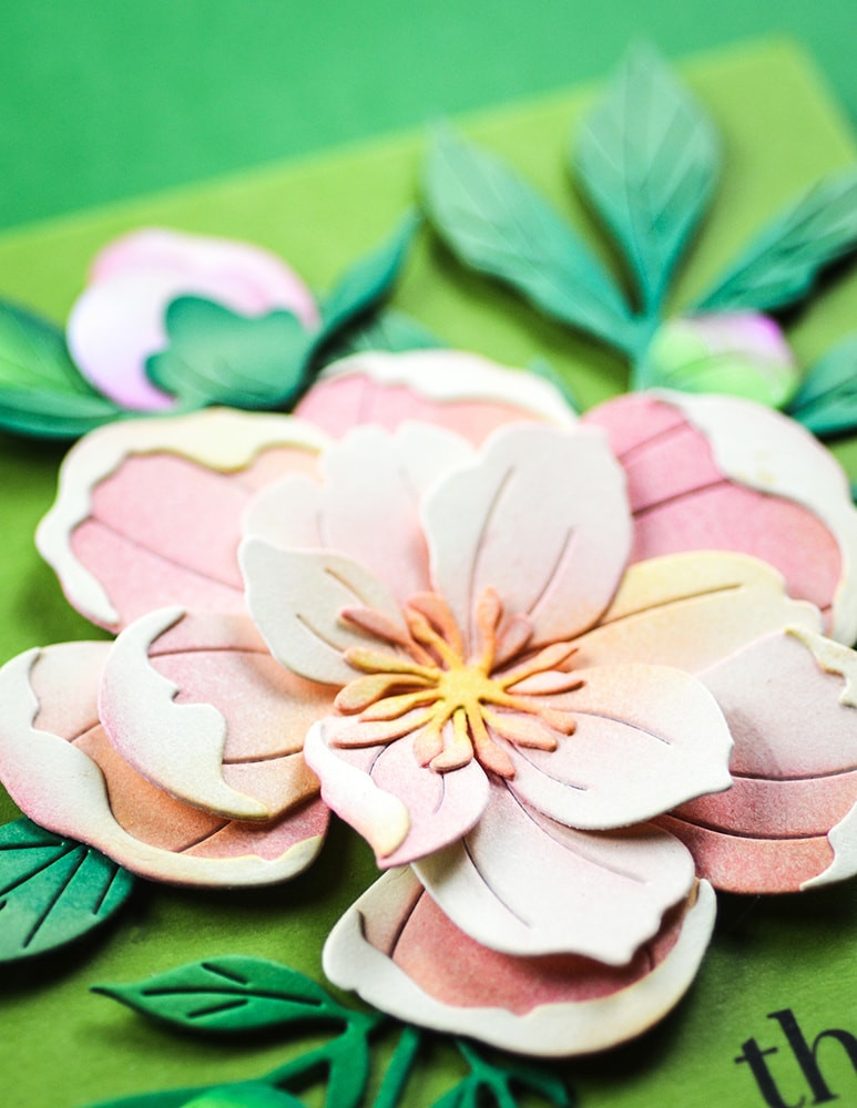 Memory Box Dies - Delightful Peony Blossom - Scrapbooking Made Simple