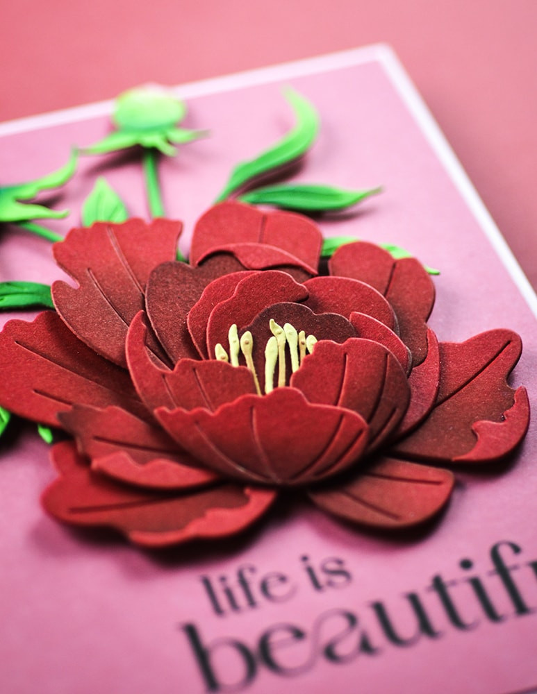Memory Box Dies - Peony Bud Trio - Scrapbooking Made Simple